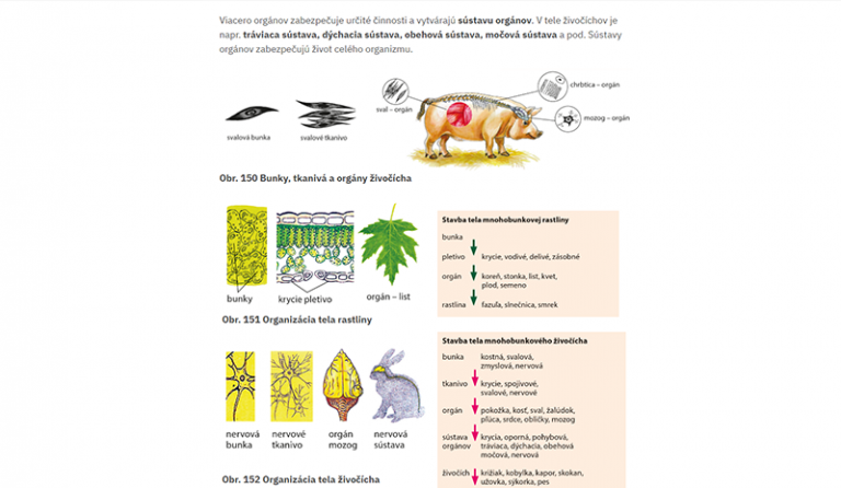 DIGI BIOLÓGIA 6 UČEBNICA – Raabe Digital